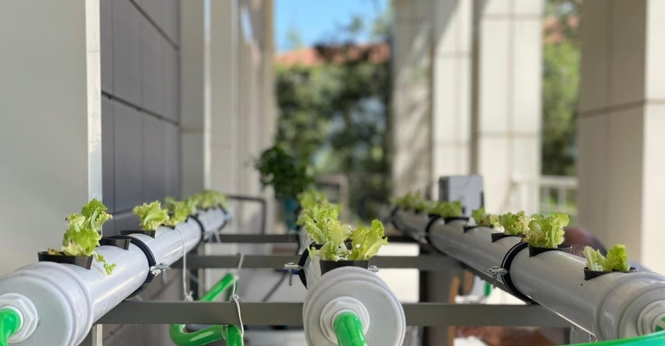 “Topraksız Tarımda Sera ve Bitki Otomasyonu” projesi tamamlandı ...